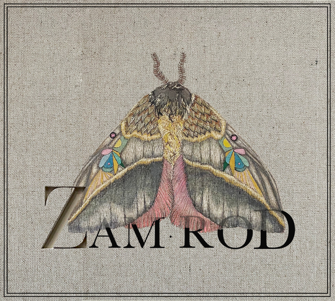 Unique and original artwork by artist ZAMROD. Free shipping – ZAM.ROD